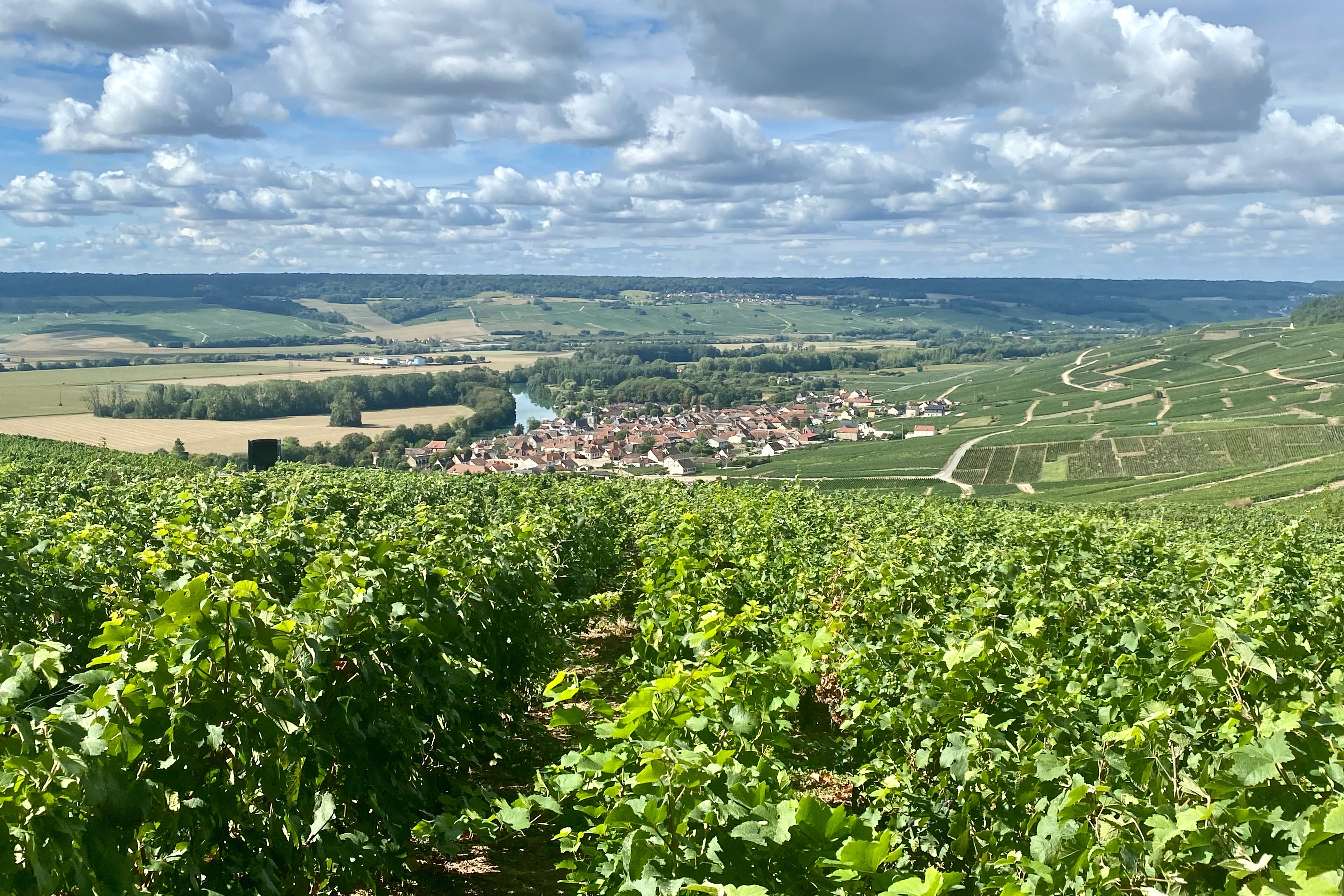 Champagne Mercier, Le Gallais, Pressoria Small-group from Paris